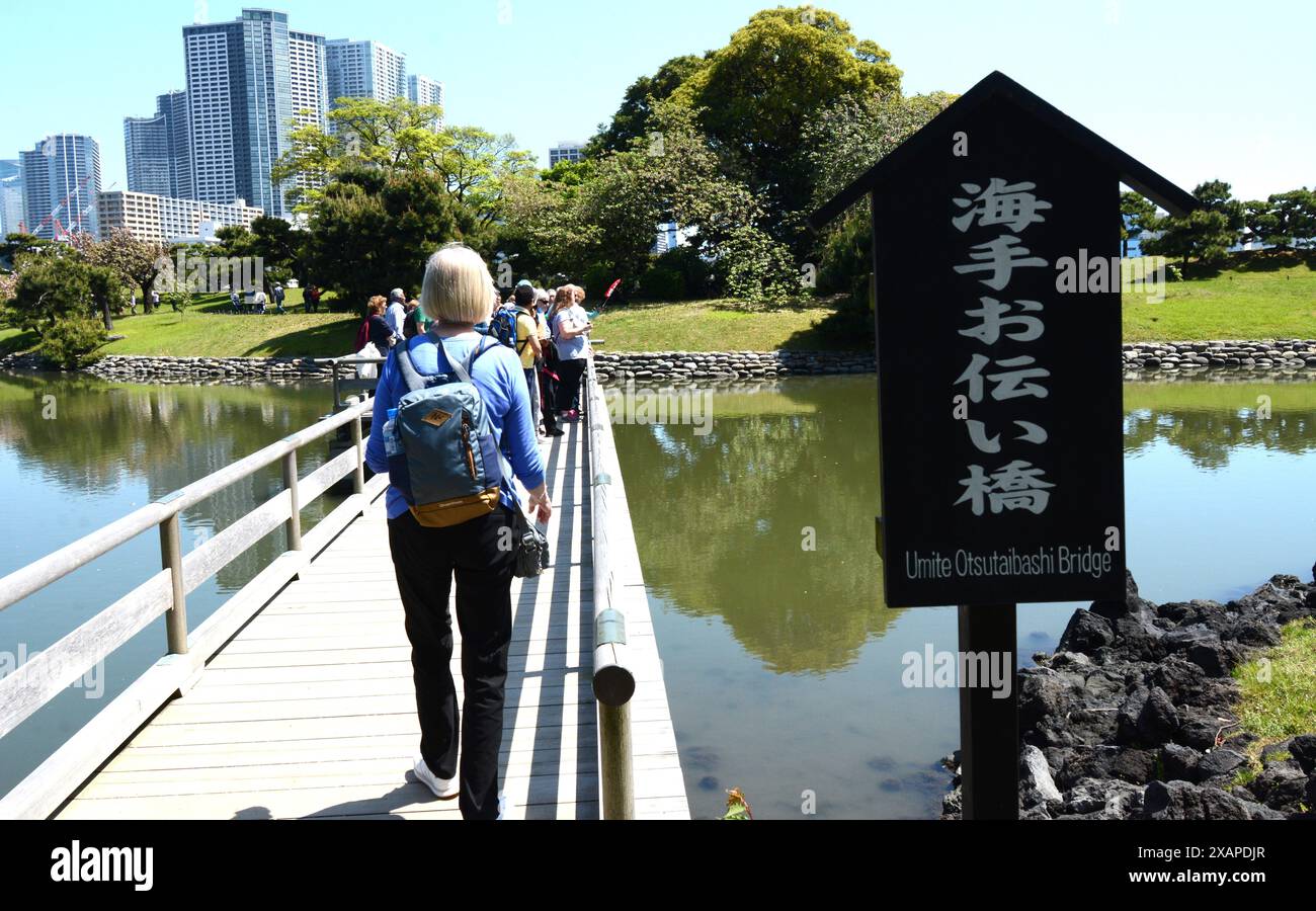 Tokyo Japan Cherry Blossom tree trees water lake buildings outside ...
