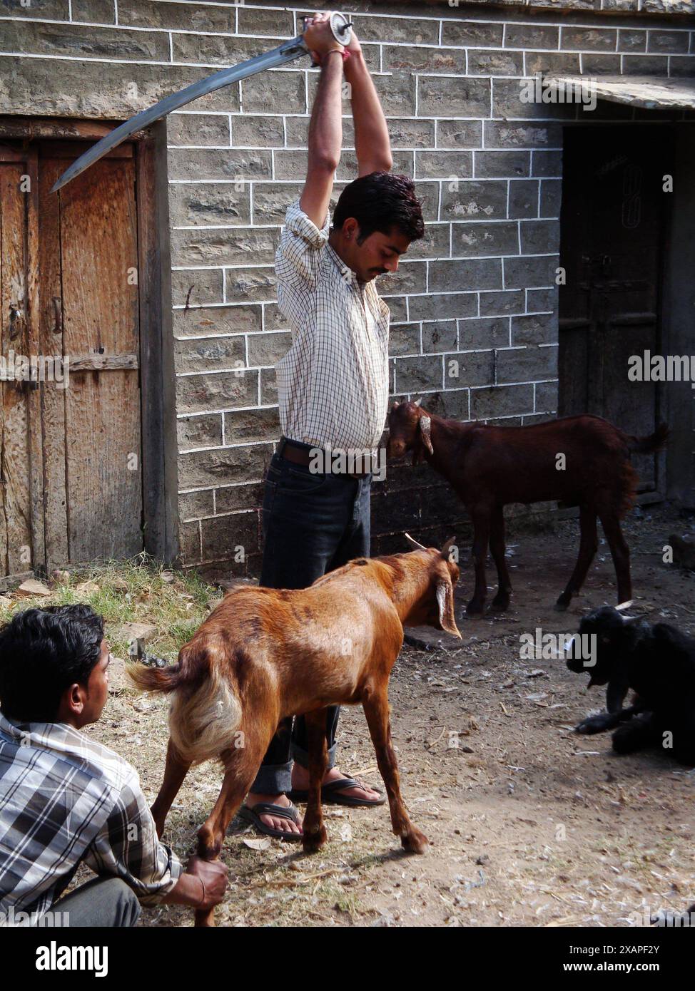 butcher and trade with meat, business and economy with food butcher and ...