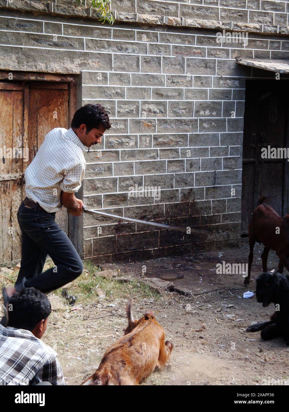 butcher and trade with meat, business and economy with food butcher and ...