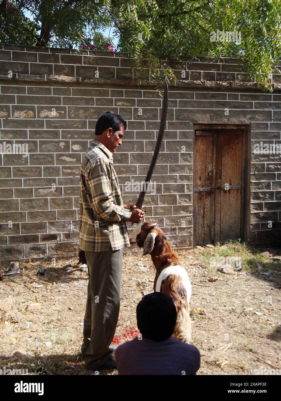 butcher and trade with meat, business and economy with food butcher and ...