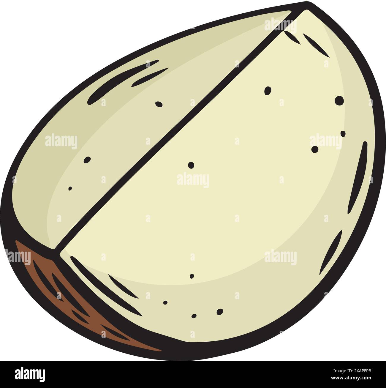 Potato slice line drawing isolated on white background Stock Vector ...