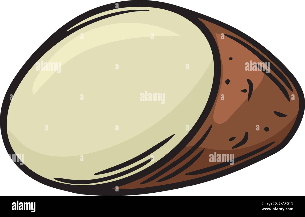 Brown potato slice vector hand drawn illustration Stock Vector Image ...