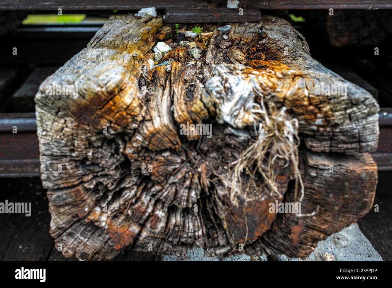 aged wood texture, former railway infrastructure Stock Photo - Alamy