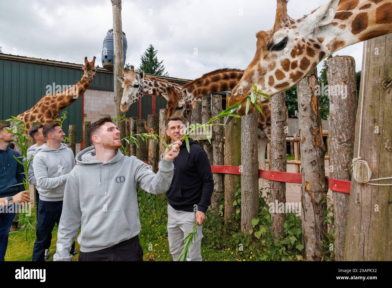 Liam Cooper, Lawrence Shankland, Kenny McLean, Andy Robertson and Ryan ...