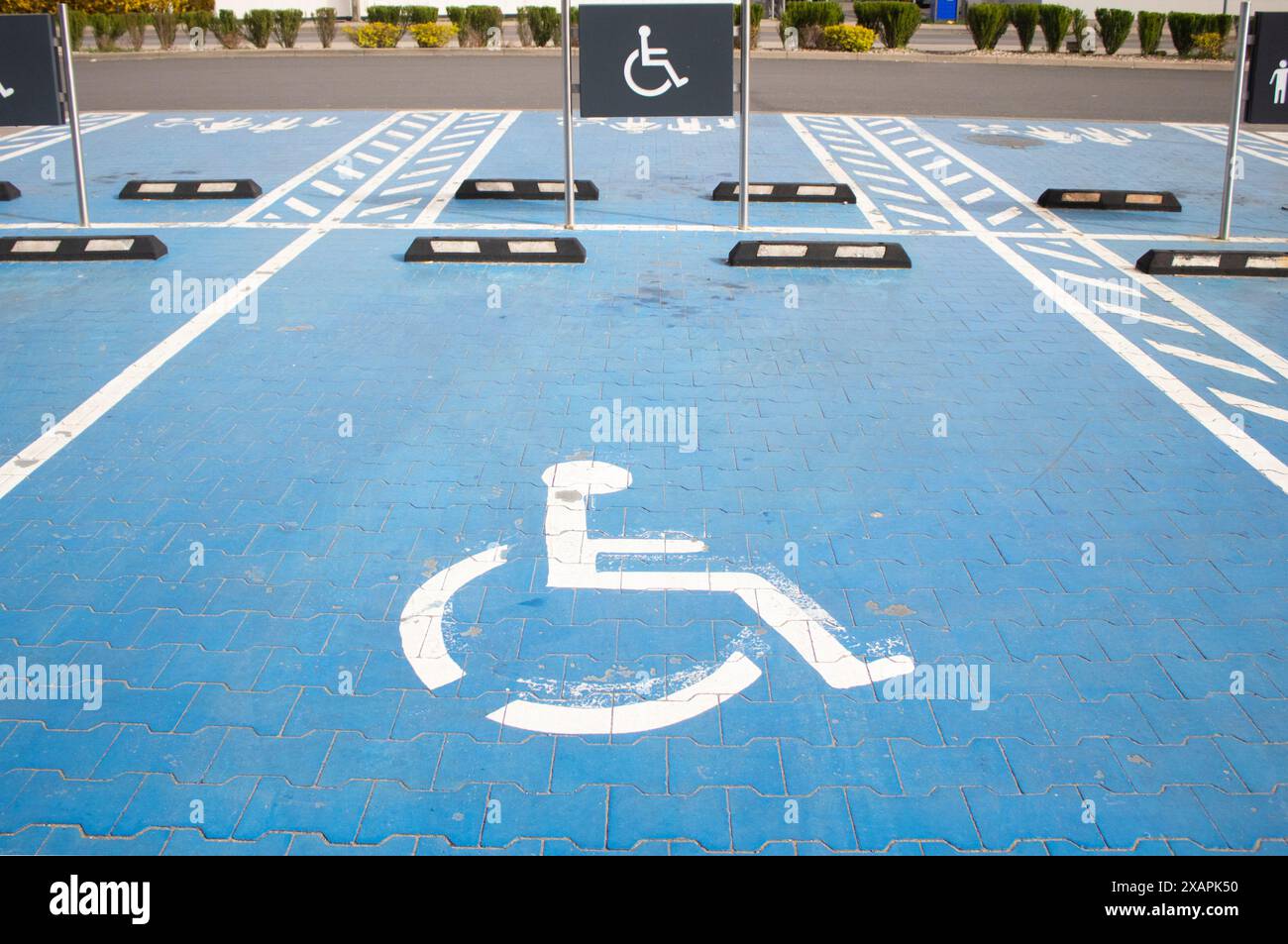 Parking space in the parking lot for the disabled Stock Photo - Alamy
