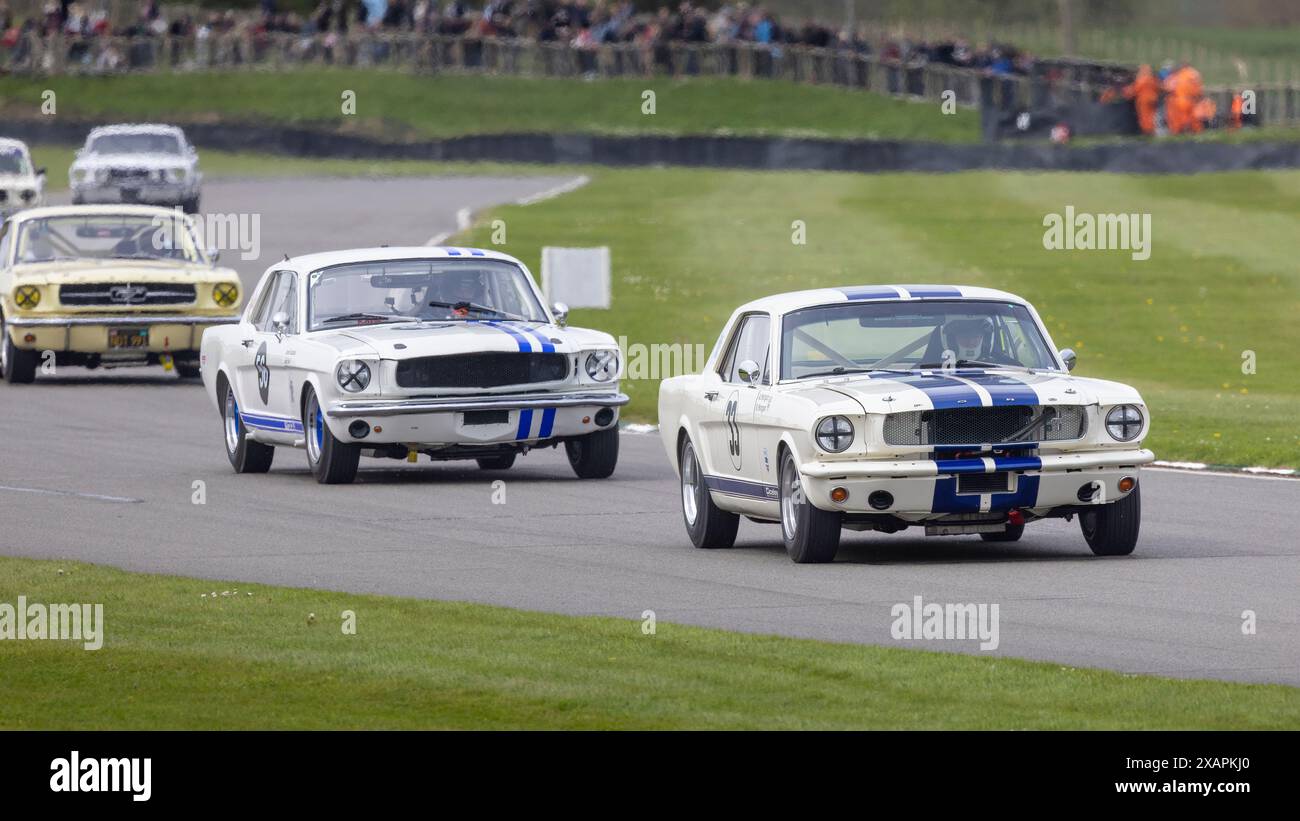 The Ken Miles Cup race, for Ford Mustangs that raced up to 1966, at the ...