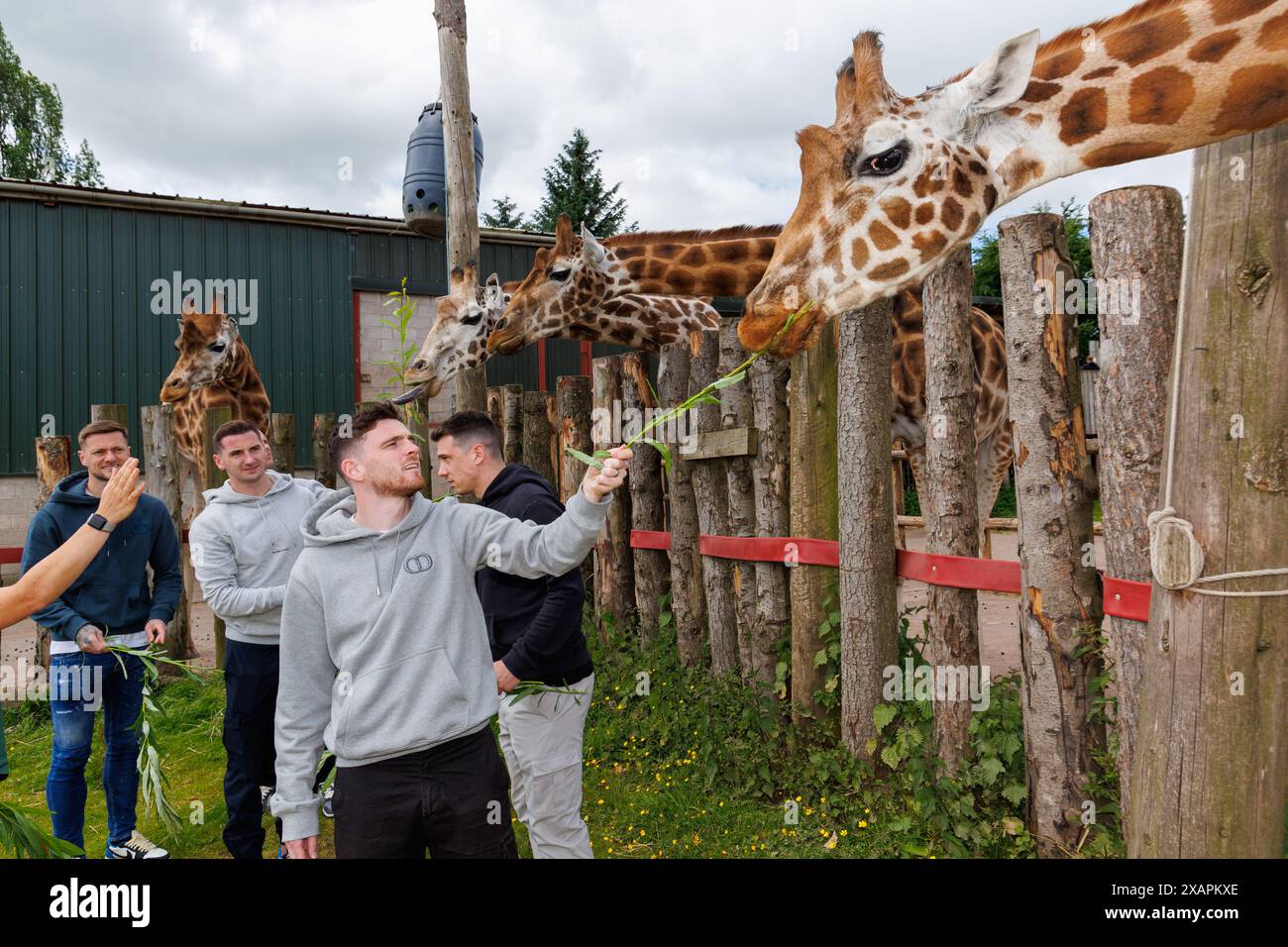 Liam Cooper, Kenny McLean, Andy Robertson and Ryan Jack feeding the ...