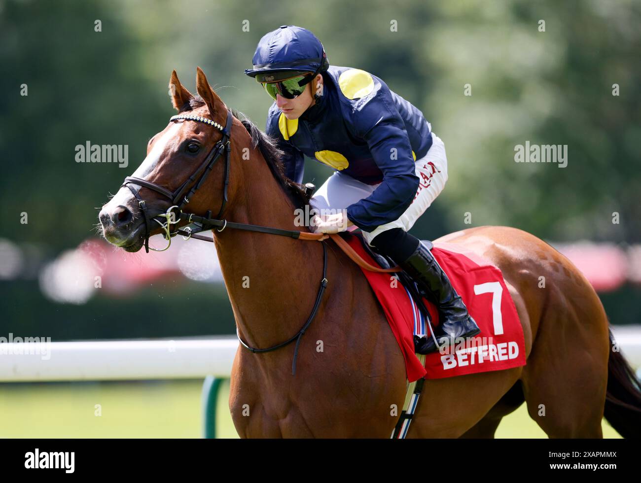 Tom Marquand riding Pink Crystal on Betfred John O'Gaunt Stakes Day at ...