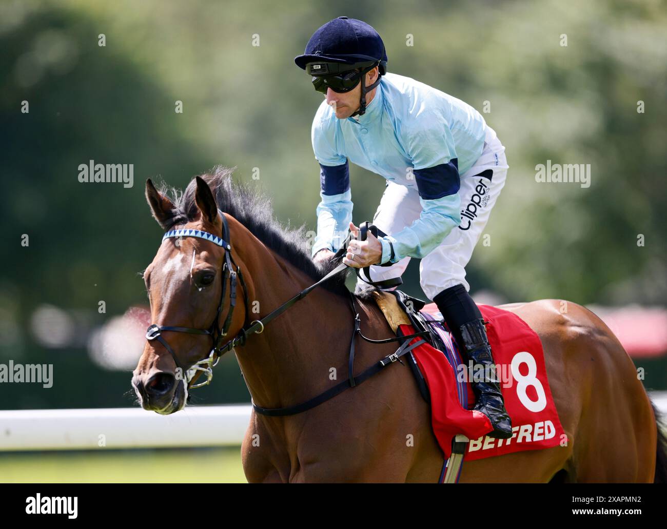Believing horse hi-res stock photography and images - Alamy