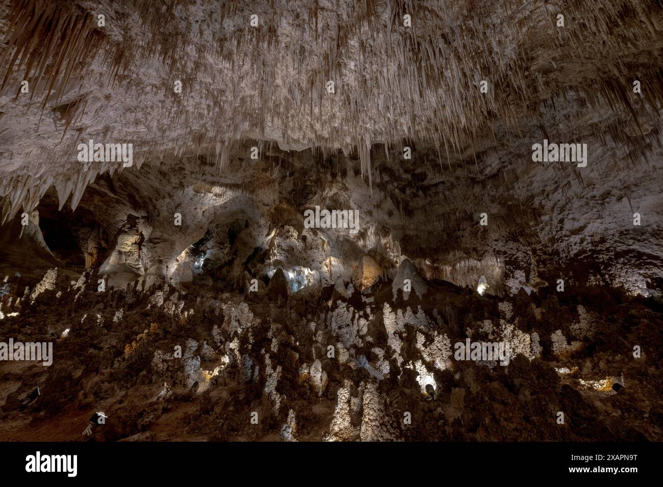 The big room inside carlsbad cavern national park Stock Photo - Alamy
