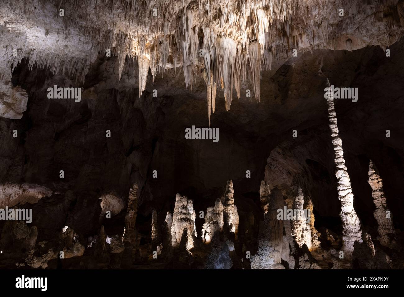 A stalactite formation called the Chandelier in Carlsbad Caverns Stock ...
