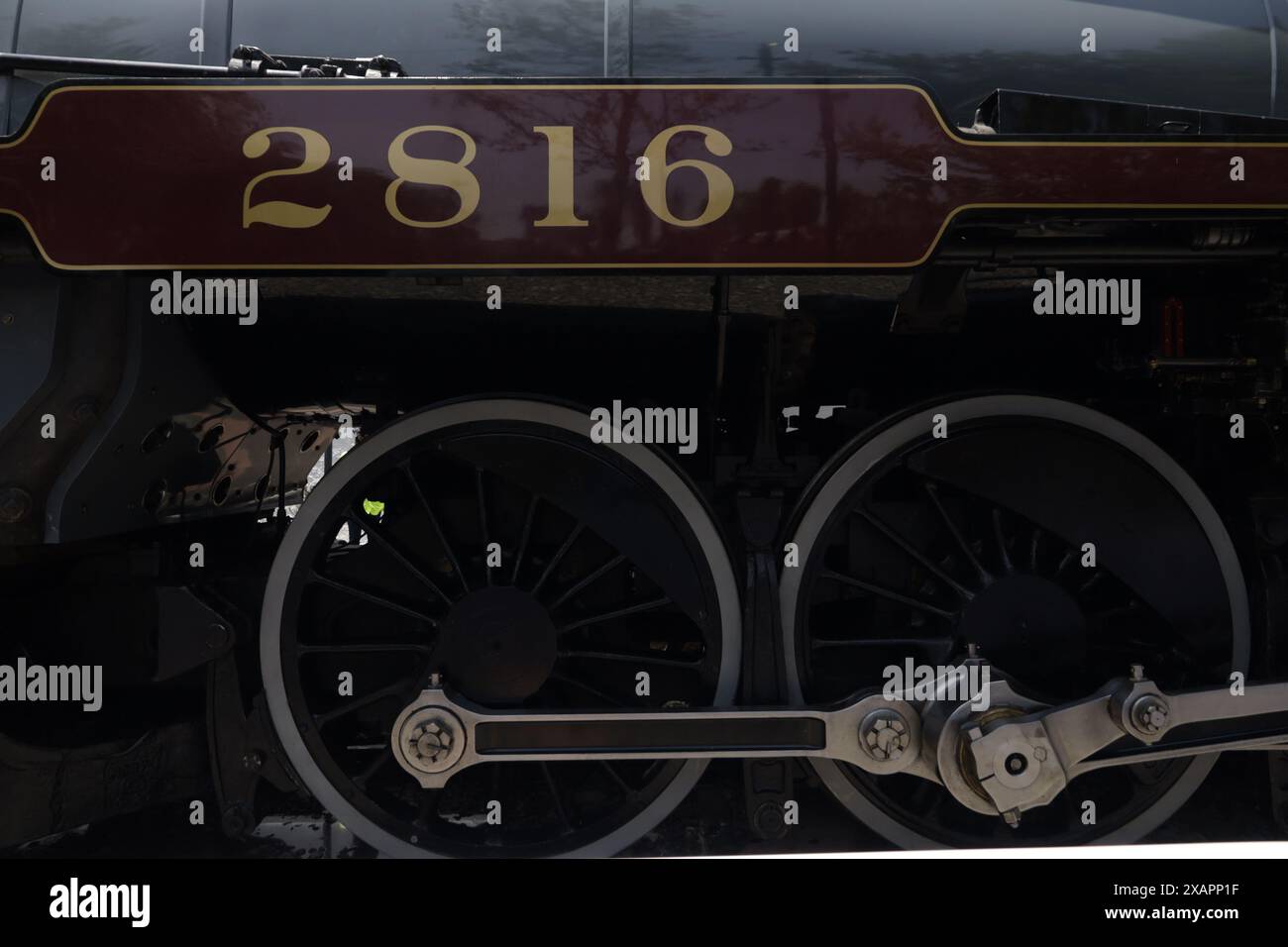 Non Exclusive: the Empress 2816 steam locomotive that the CPKC company ...