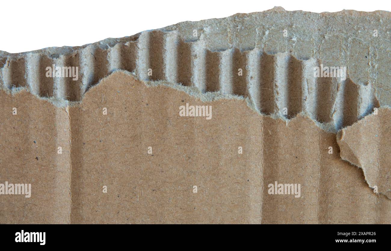 Ripped and torn cardboard paper. Super close up image isolated on white ...