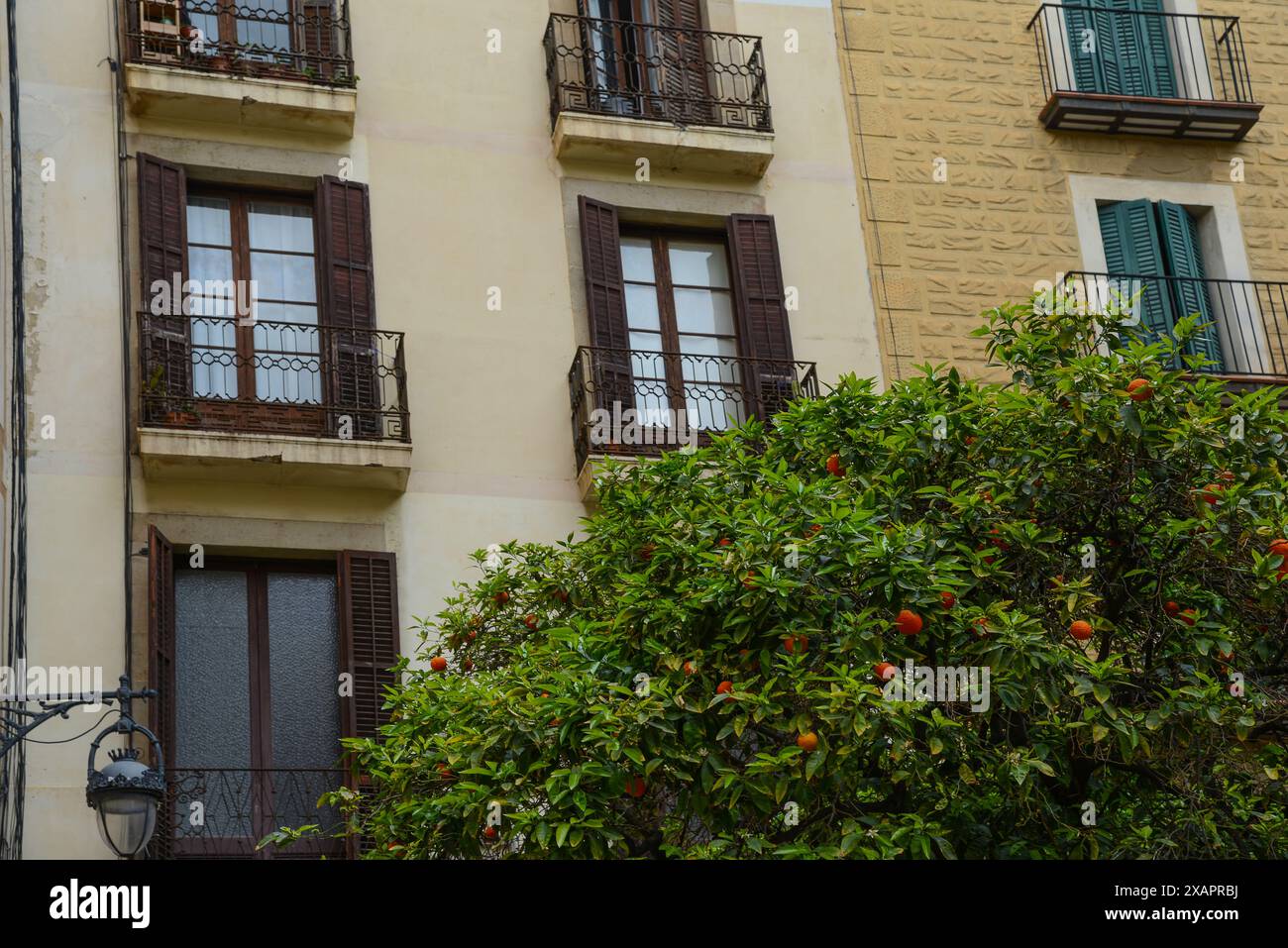Gothic building in historic centrum of Barcelona Stock Photo - Alamy