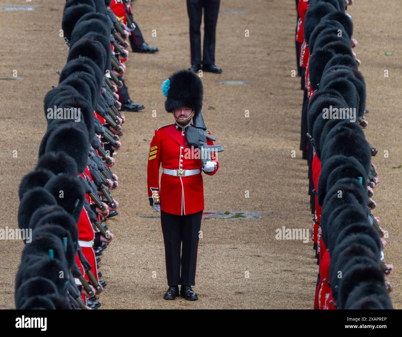 Horse Guards Parade London, UK. 8th June, 2024. The Colonel’s Review of ...