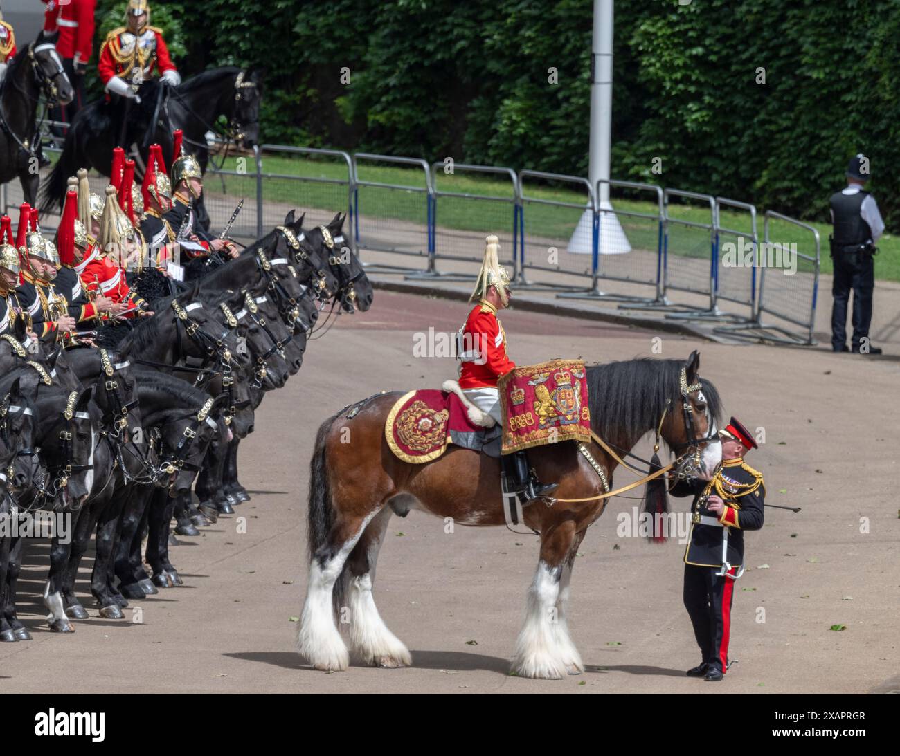 Horse Guards Parade London, UK. 8th June, 2024. The Colonel’s Review of ...