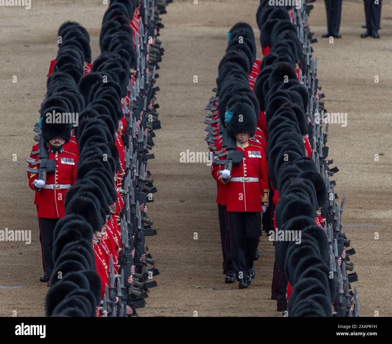 Horse Guards Parade London, UK. 8th June, 2024. The Colonel’s Review of ...