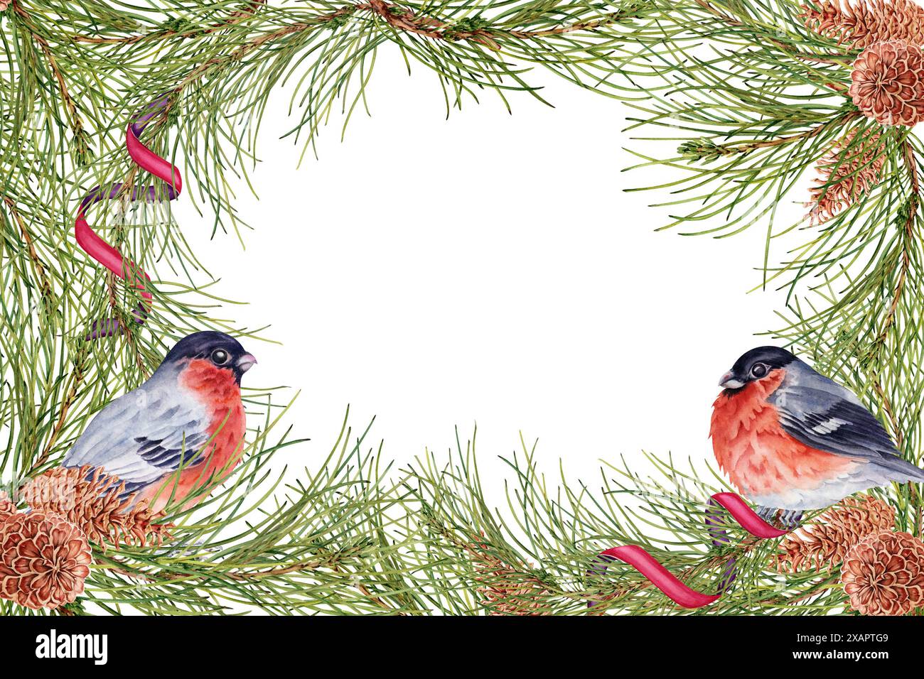 Christmas card with hand drawn pine branches and cones, ribbon ...