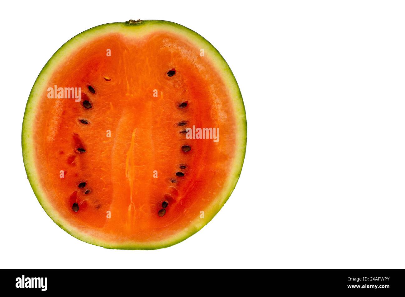 Top view and close up on water melon cut in half. Structure of water ...