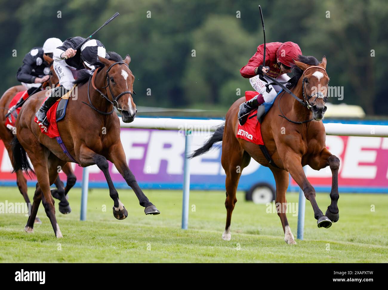 Queen Of The Pride ridden by Oisin Murphy (right) wins the Betfred ...