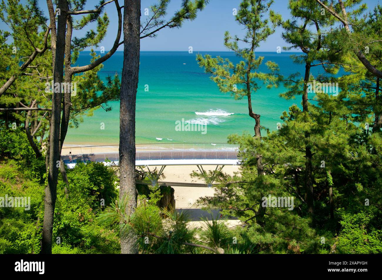 Donghae City, South Korea - May 18th, 2024: A picturesque view of the ...