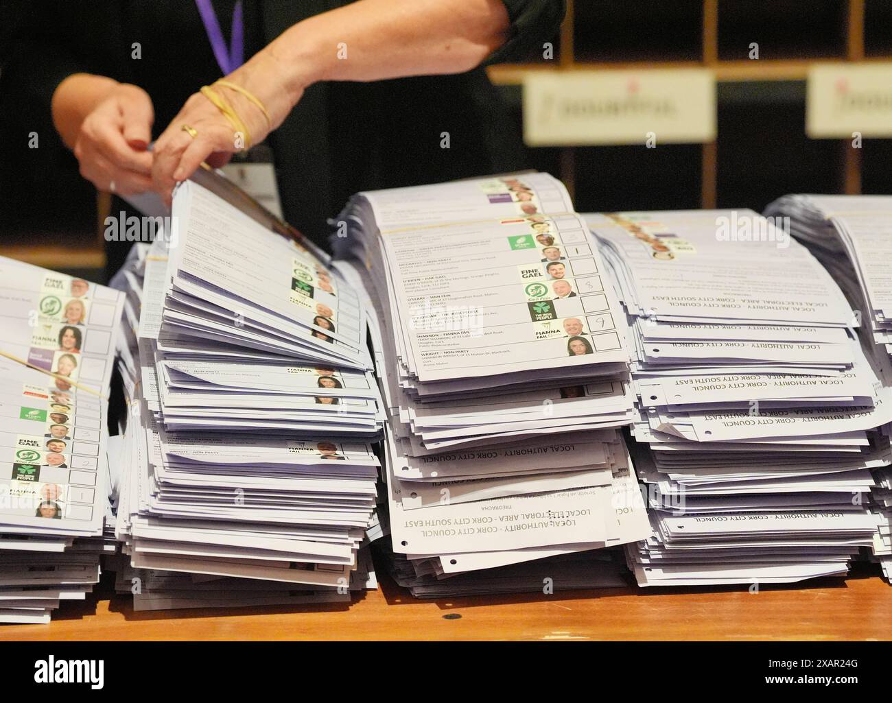 Counting staff at Cork City Hall sort ballots during local elections in ...