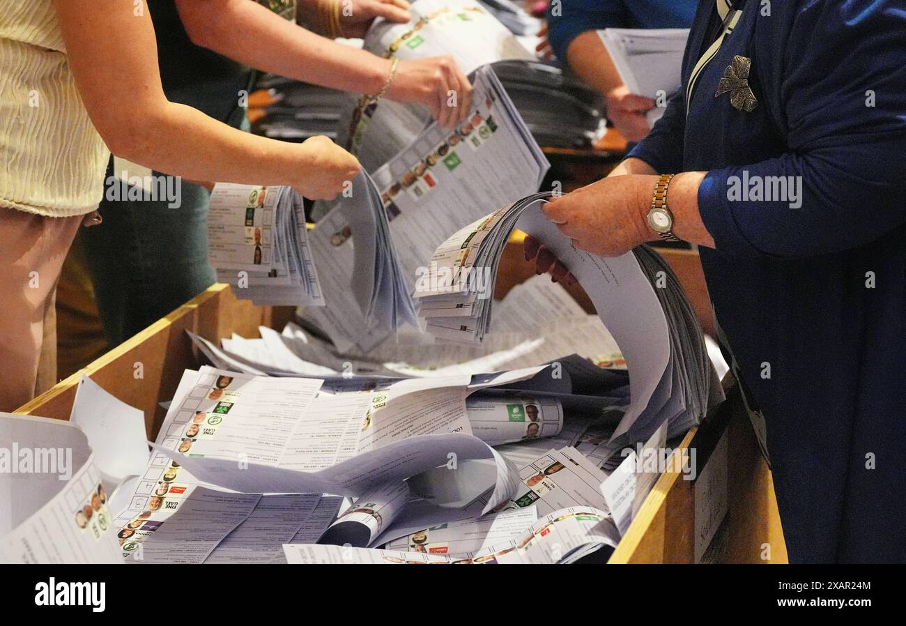 Counting staff at Cork City Hall sort ballots during local elections in ...
