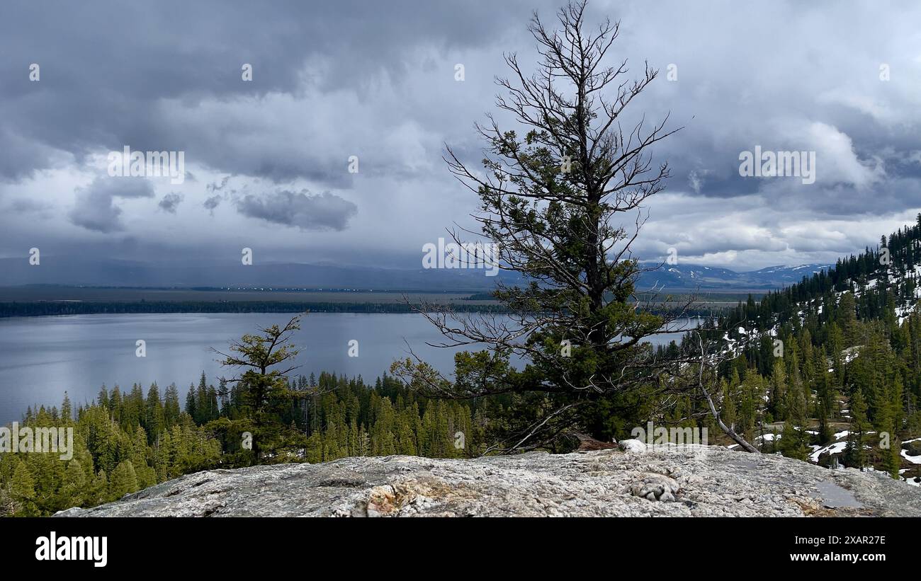 Jenny lake view hi-res stock photography and images - Alamy