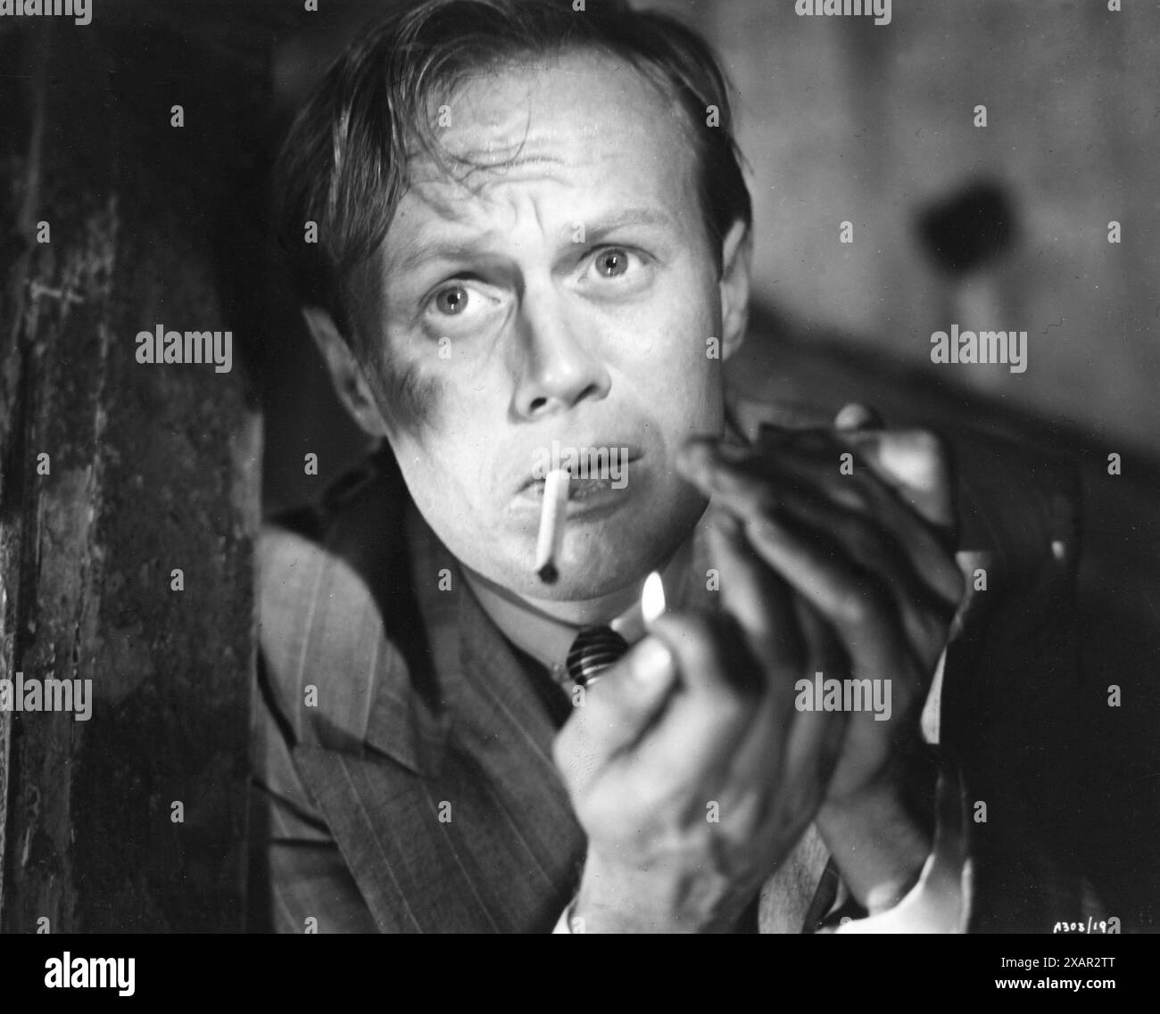 Max fox Black and White Stock Photos & Images - Alamy