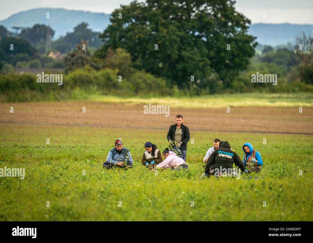 Poor farm workers england hi-res stock photography and images - Alamy