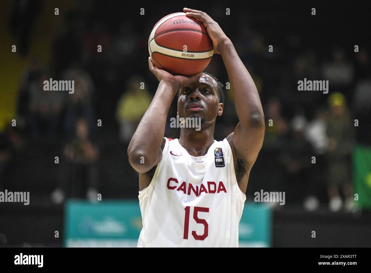 Pitt basketball hi-res stock photography and images - Alamy