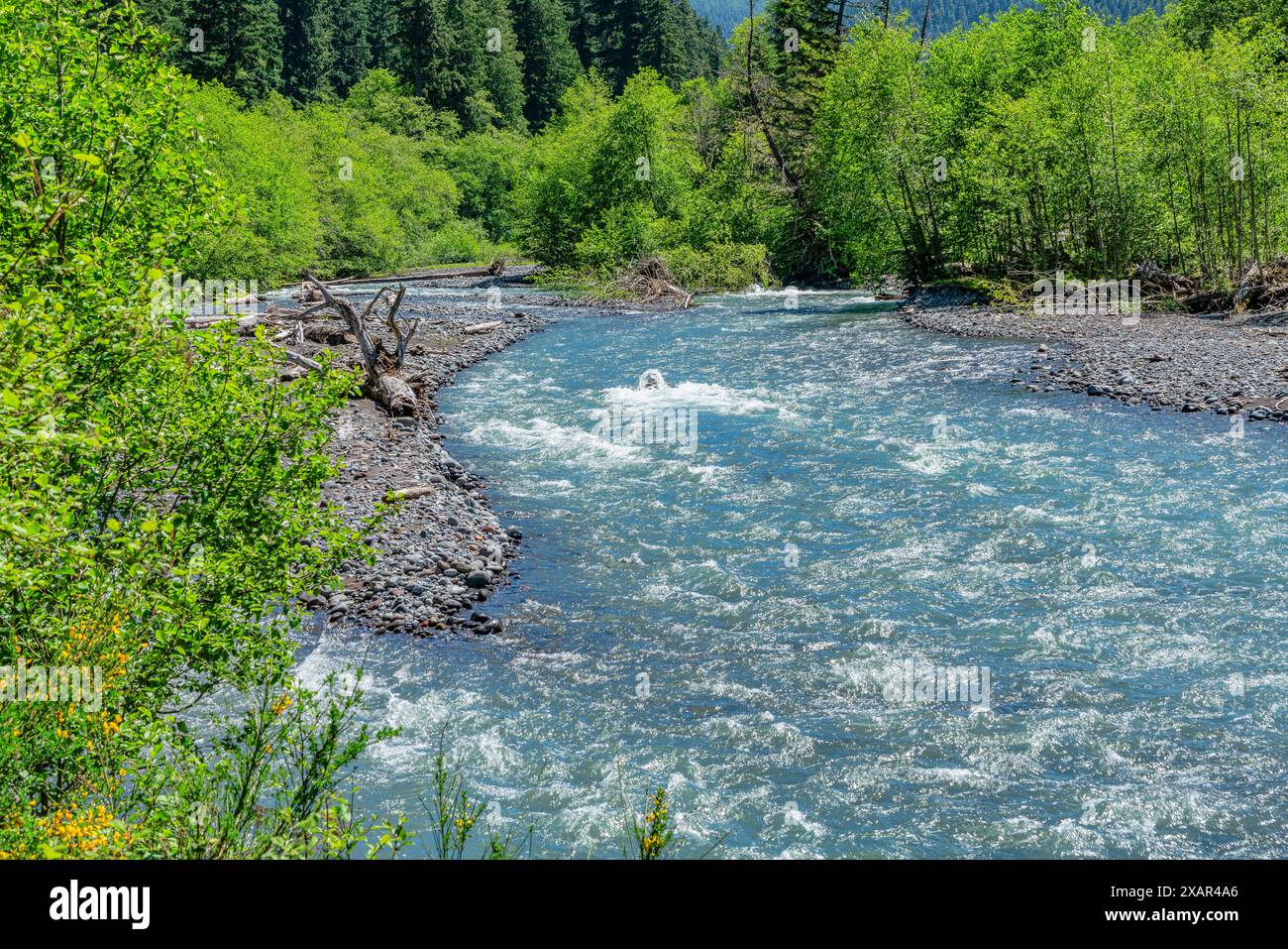 A view of the White River from highway 410 in Washington State Stock ...