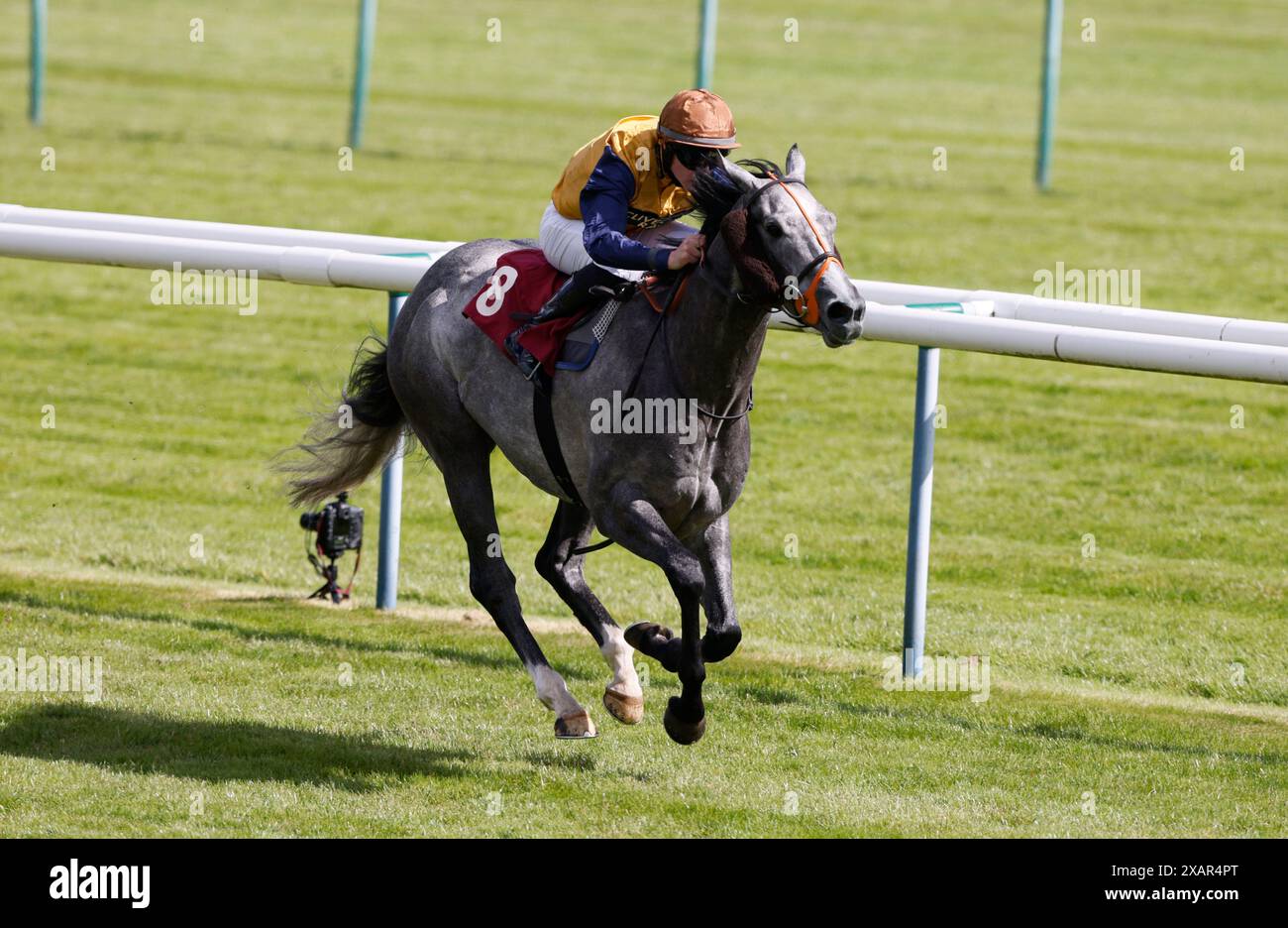 Pedro Valentino ridden by Richard Kingscote coming home to win the ...