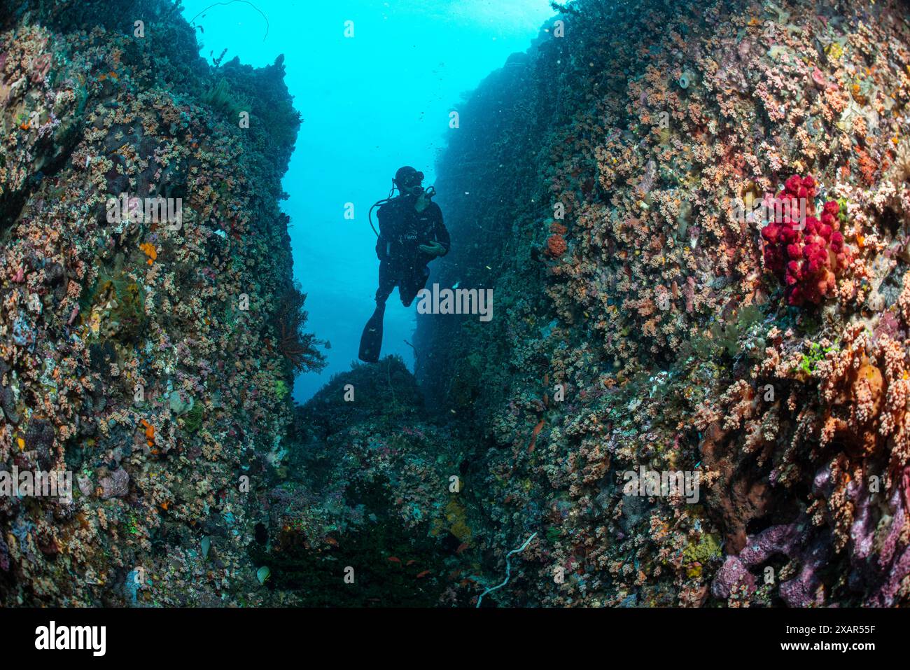 Reefscape - Bangka Island Stock Photo - Alamy