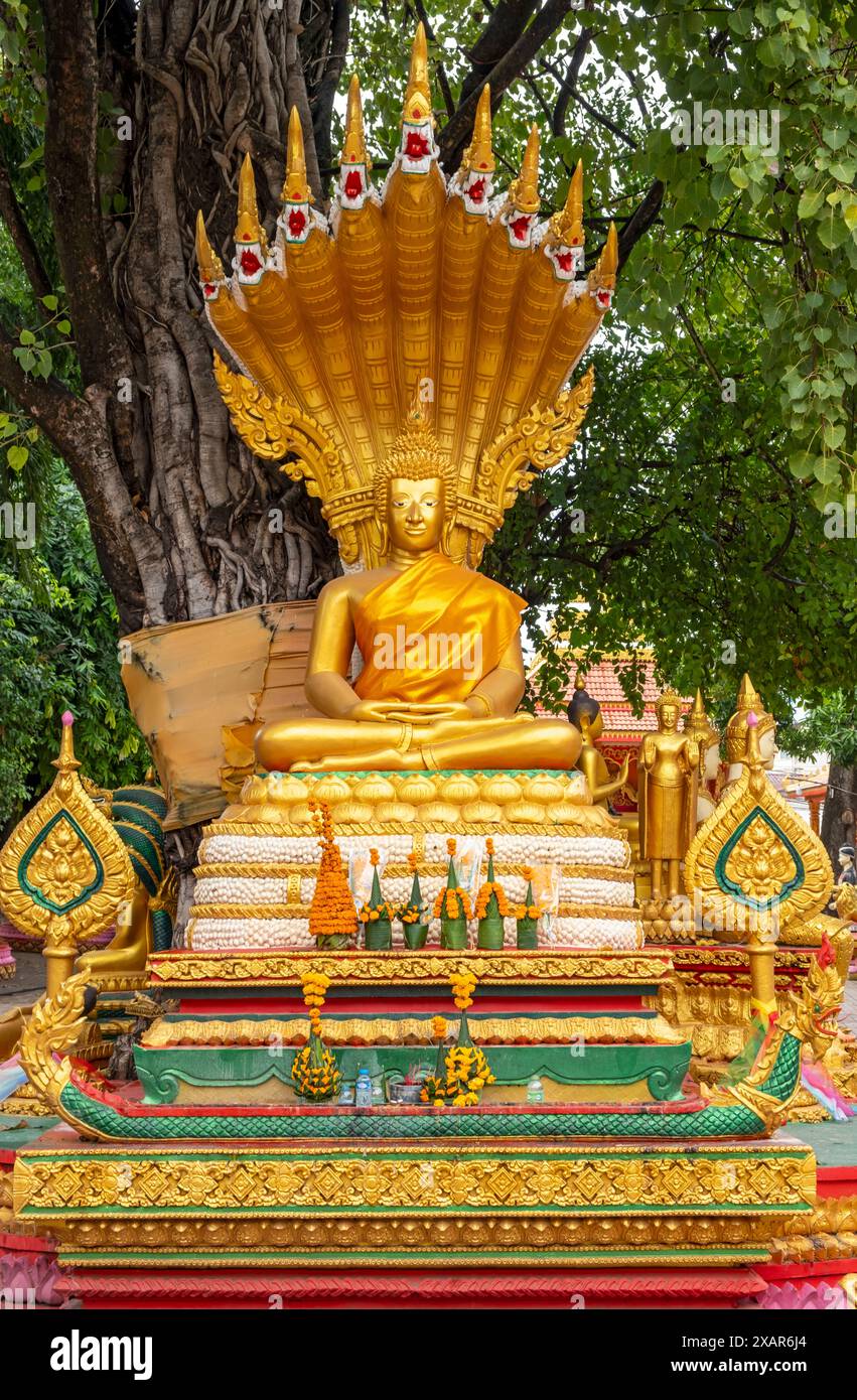 Statue of Buddha under the Bodhi tree, Wat Si Muang, Vientiane, Laos ...