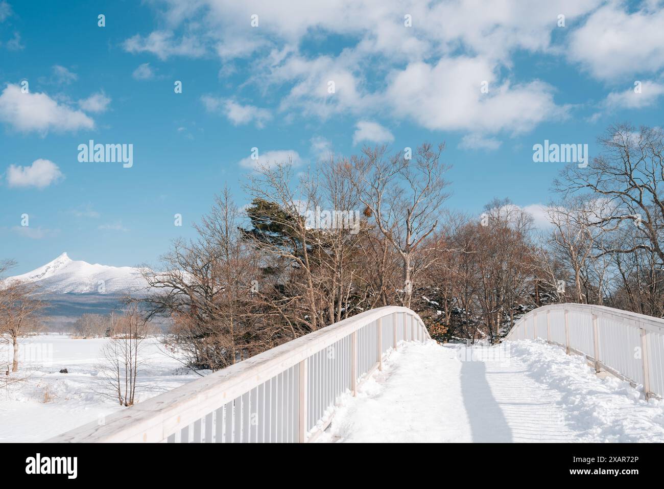Winter snow lake bridge at Onuma Quasi-National Park in Hokkaido, Japan ...