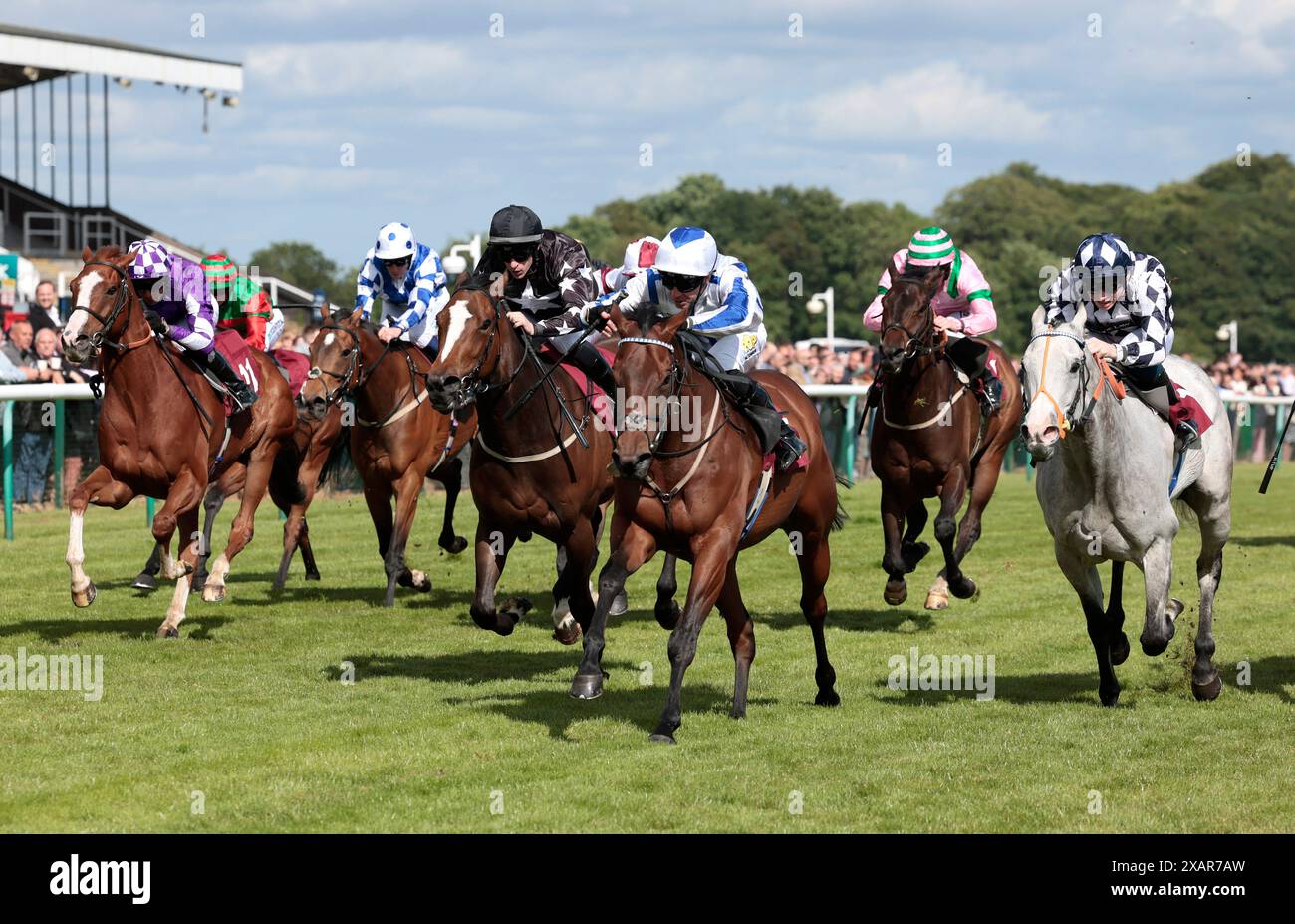 Buccabay and jockey Charles Bishop (centre) on the way to winning the ...
