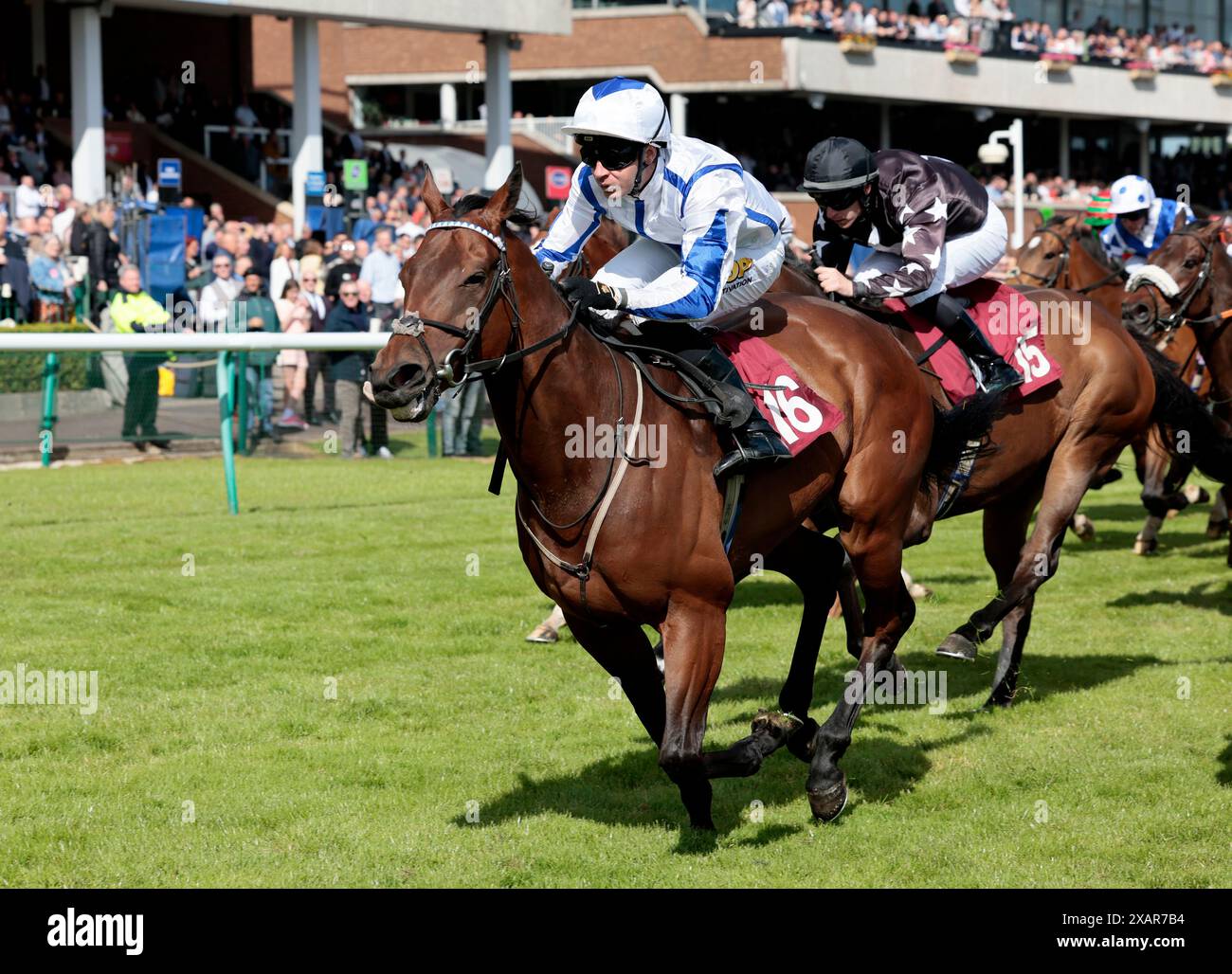 Buccabay hi-res stock photography and images - Alamy