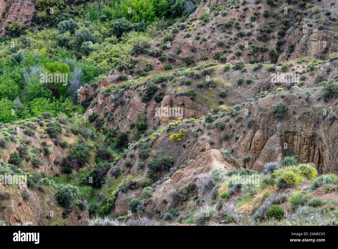 Cárcavas de Marchal, Granada Geopark, UNESCO World Geopark, Betic ...