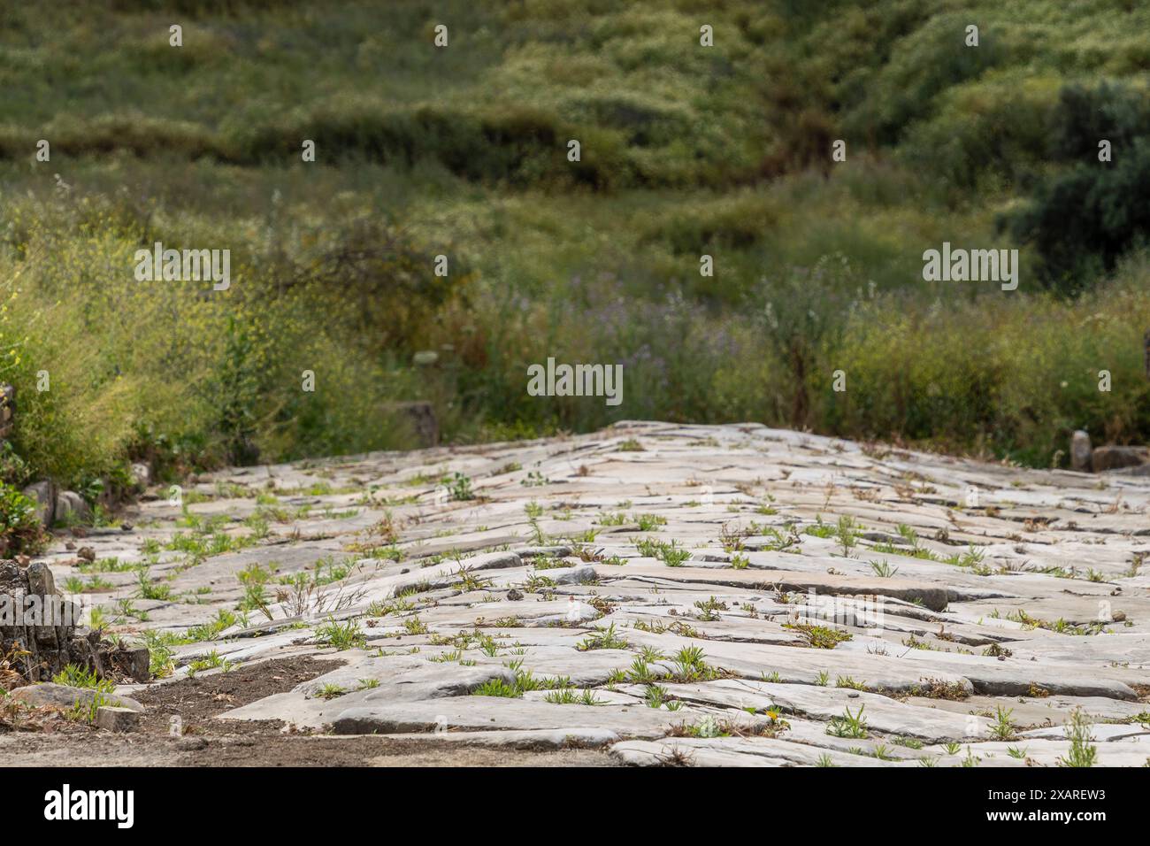 Italica, Roman road in Cañada Honda, ancient Roman city, 206 BC ...