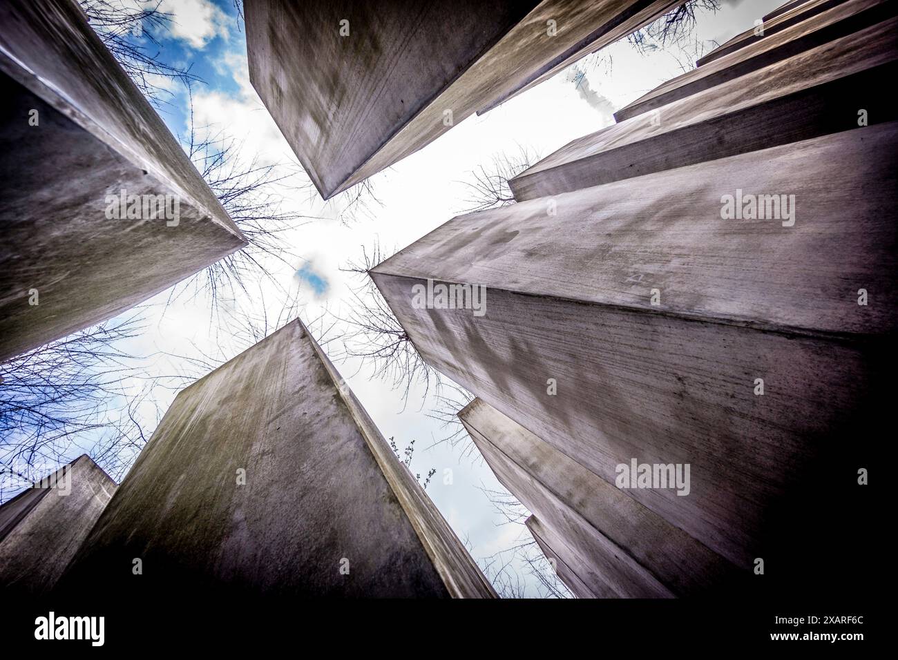Garden of Exile, Josef Hoffmann Garden, Jewish Museum Berlin, designed ...
