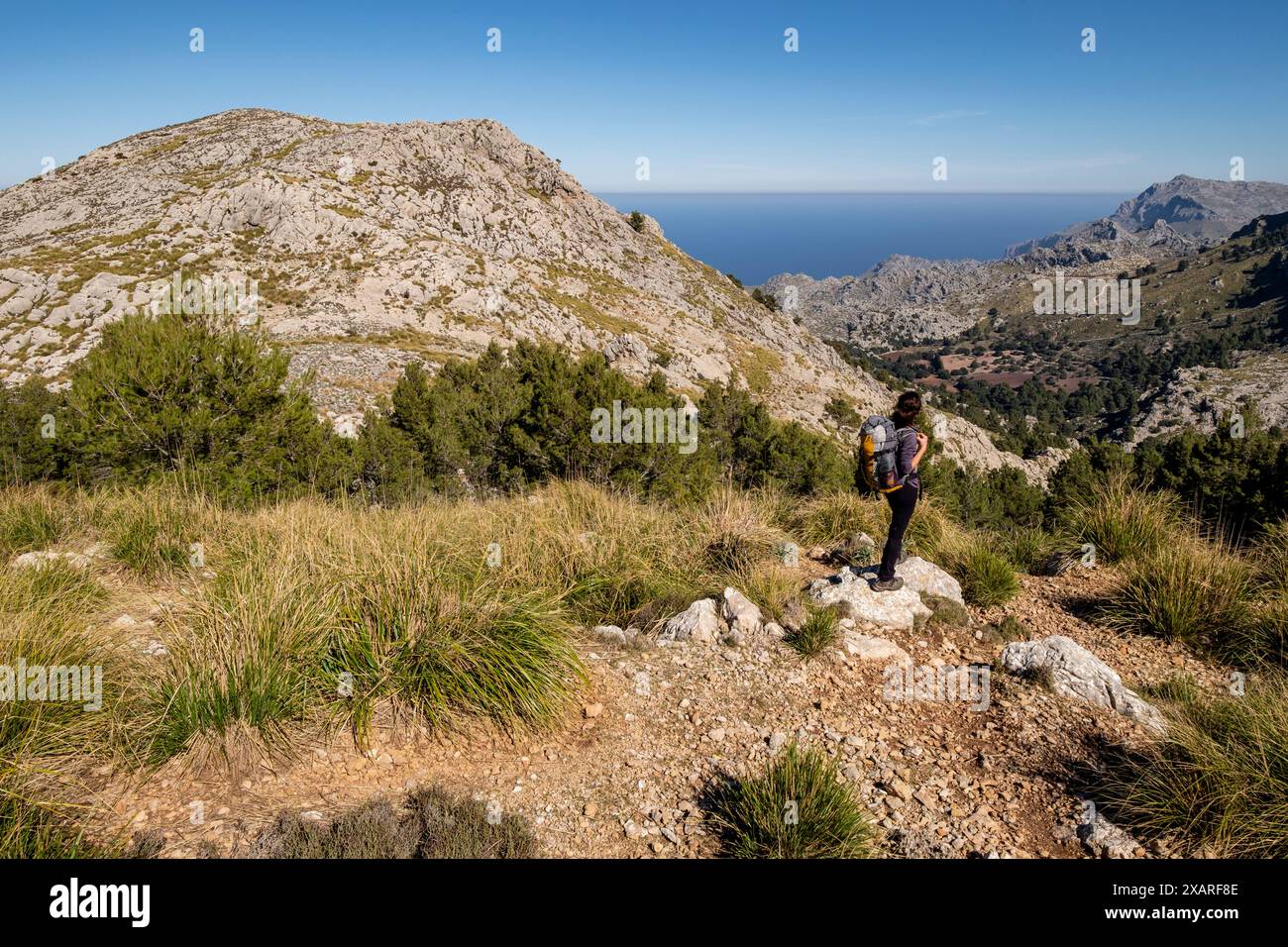 Cami des binis escorca hi-res stock photography and images - Alamy