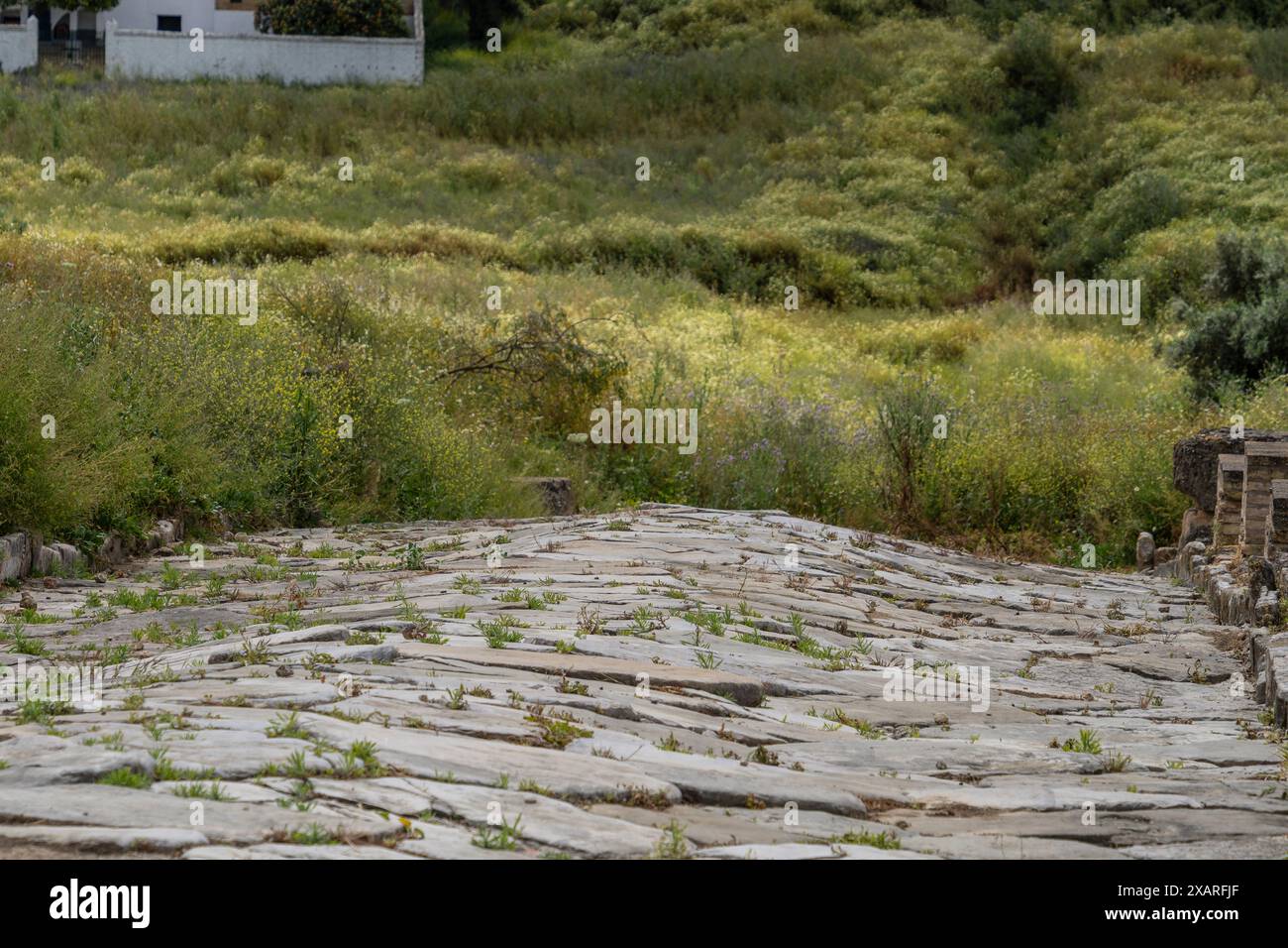 Italica, Roman road in Cañada Honda, ancient Roman city, 206 BC ...
