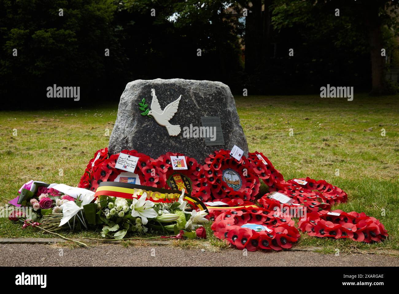 Fnc symbol hi-res stock photography and images - Alamy