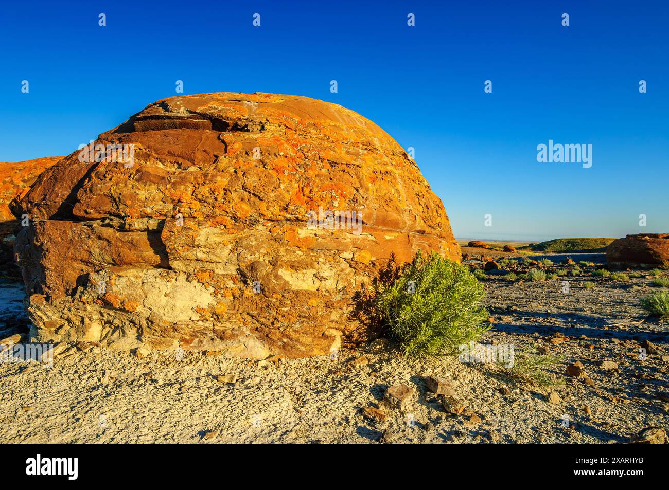 Large red spherical sandstone concretions hi-res stock photography and ...