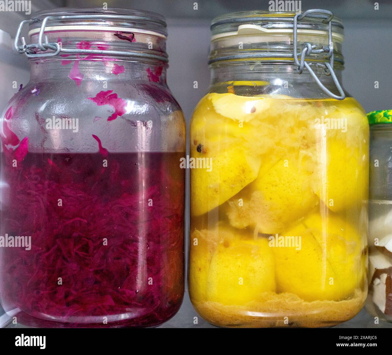 Close-up of jars containing red cabbage and lemons being fermented. A ...