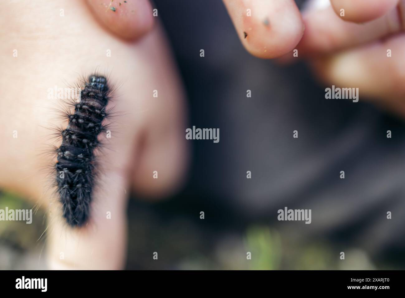 Caterpillar on hand hi-res stock photography and images - Alamy