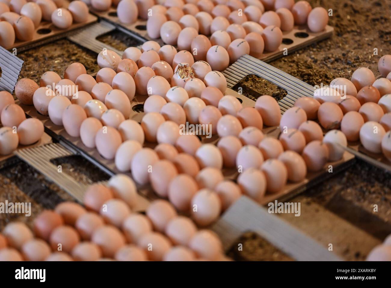 Minimiert hi-res stock photography and images - Alamy