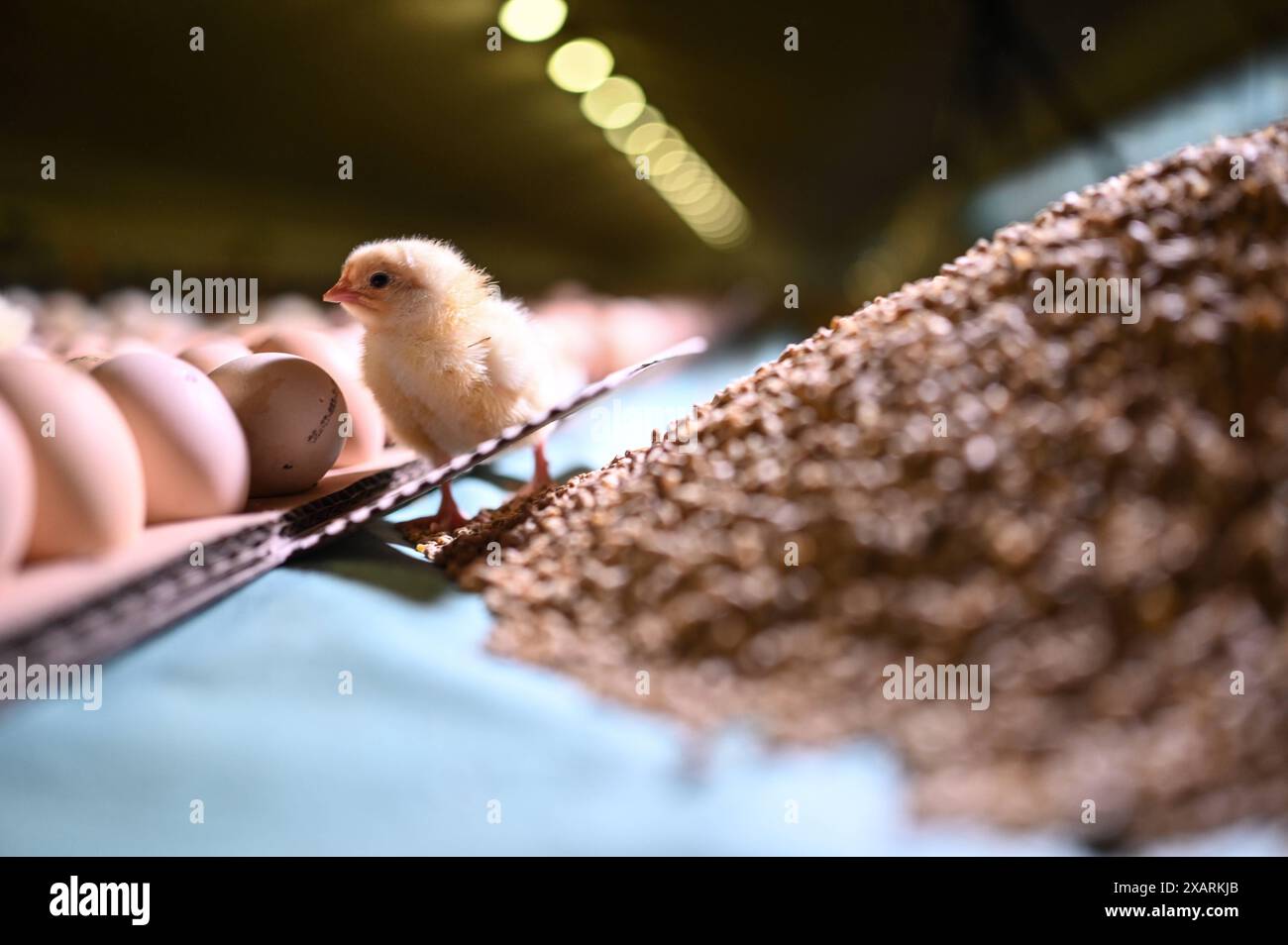 Putenhalter hi-res stock photography and images - Alamy