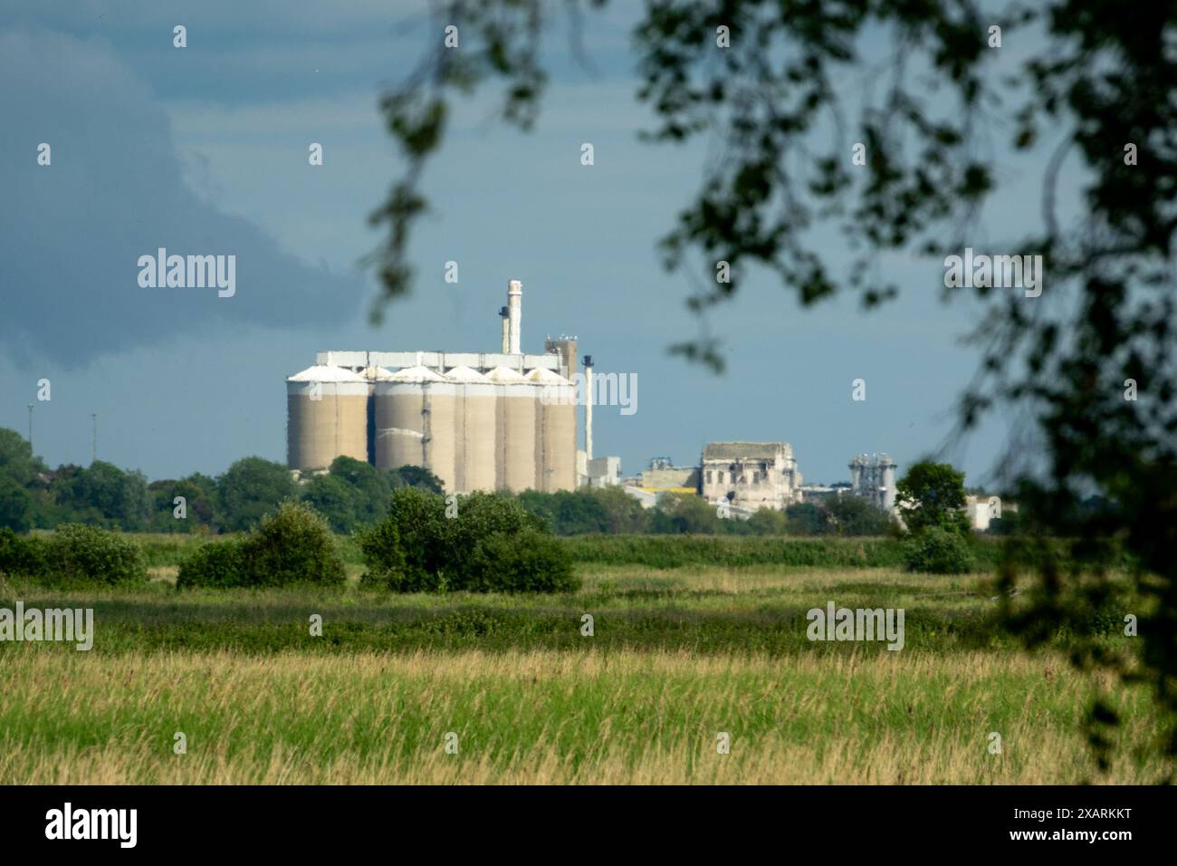 Cantley sugar beet factory Stock Photo - Alamy